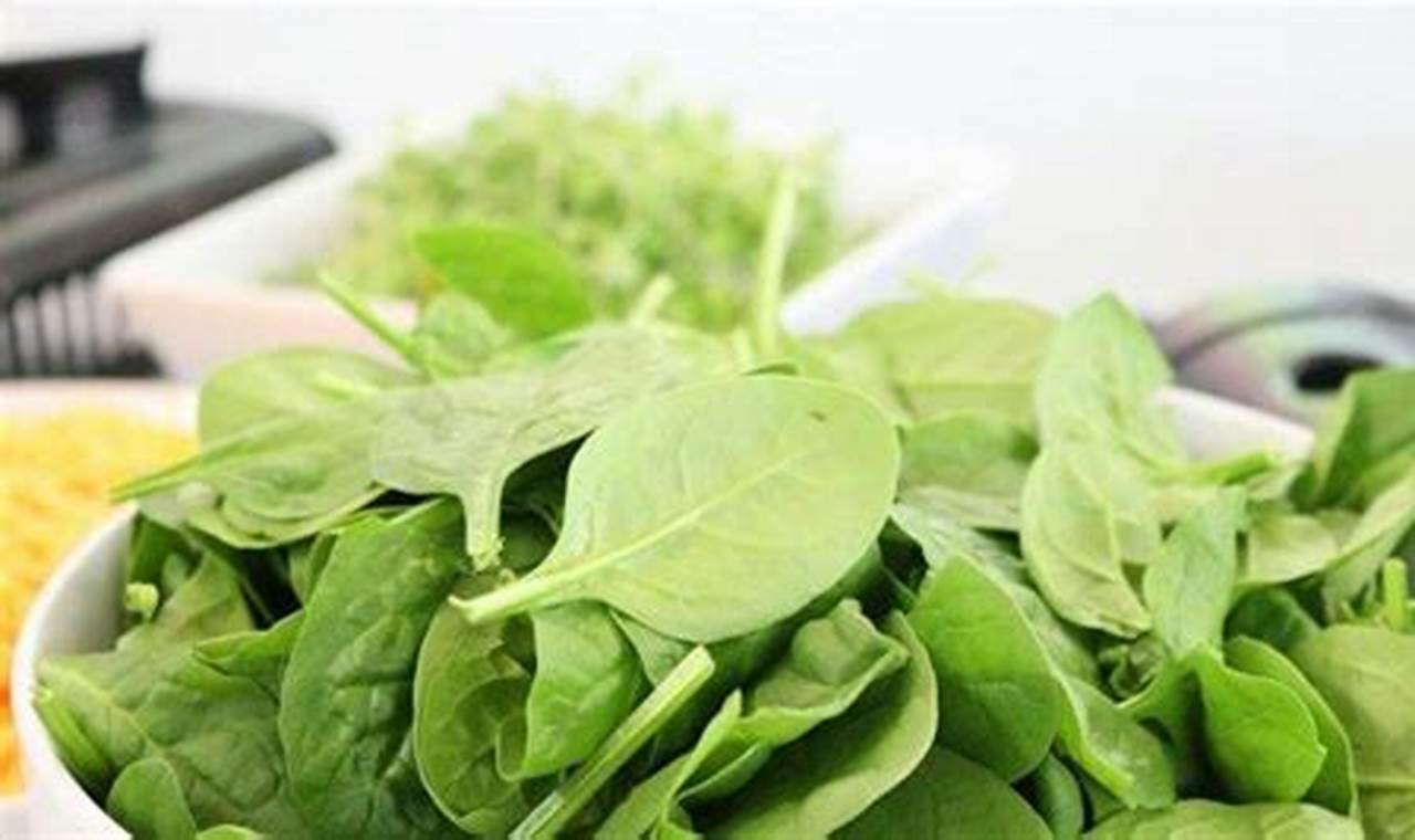 10 Rahasia Bayam untuk Tubuh Ideal