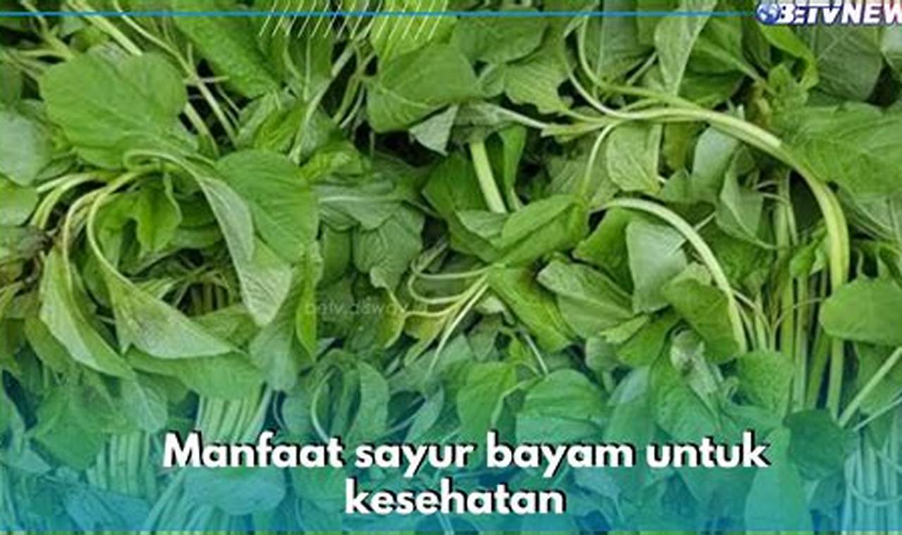 10 Manfaat Sayur Bayam untuk Diet Sehat dan Menyegarkan