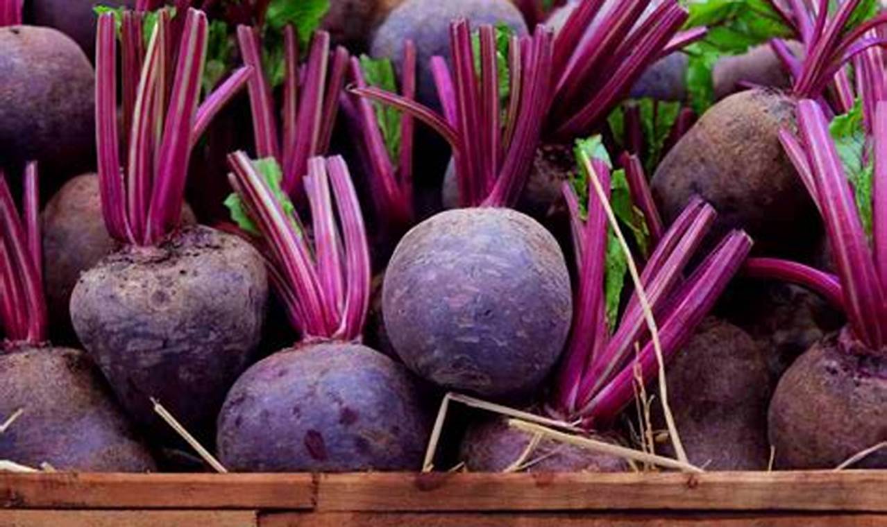 10 Manfaat Buah Bit yang Mengagumkan untuk Kesehatan Darah